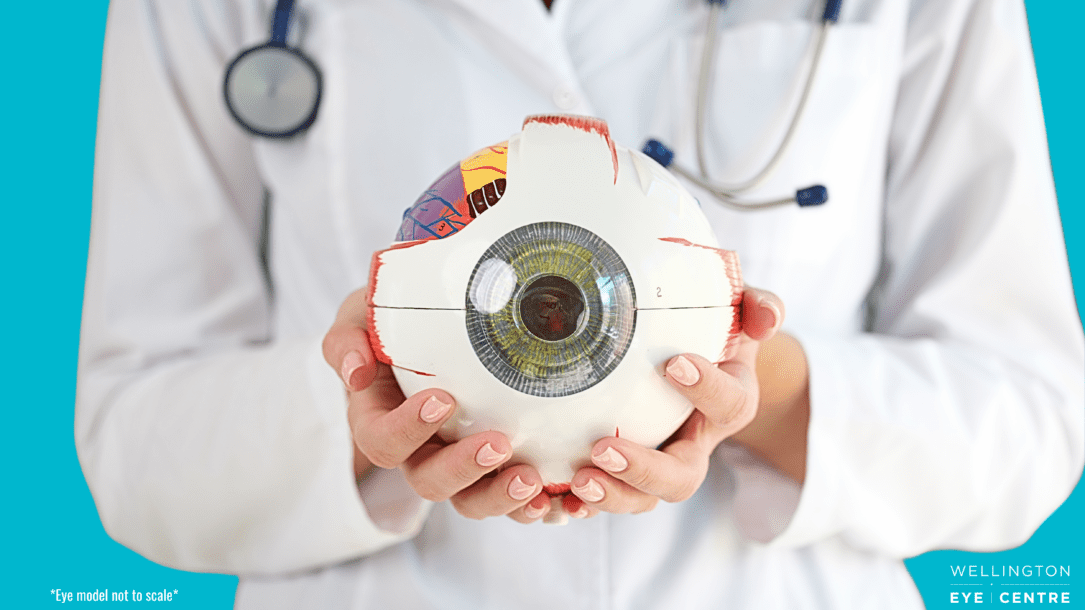 What are the differences between SMILE, LASIK and PRK laser eye surgery ...